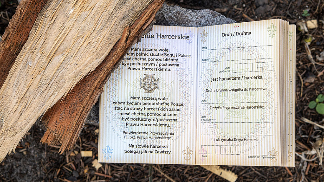 Czym się różni ZHP od ZHR?