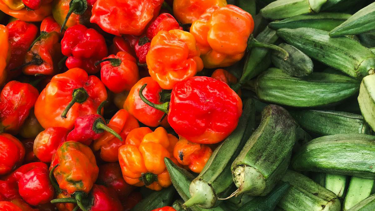 FIREPOT Gulasz toskański - 120 g - żywność liofilizowana