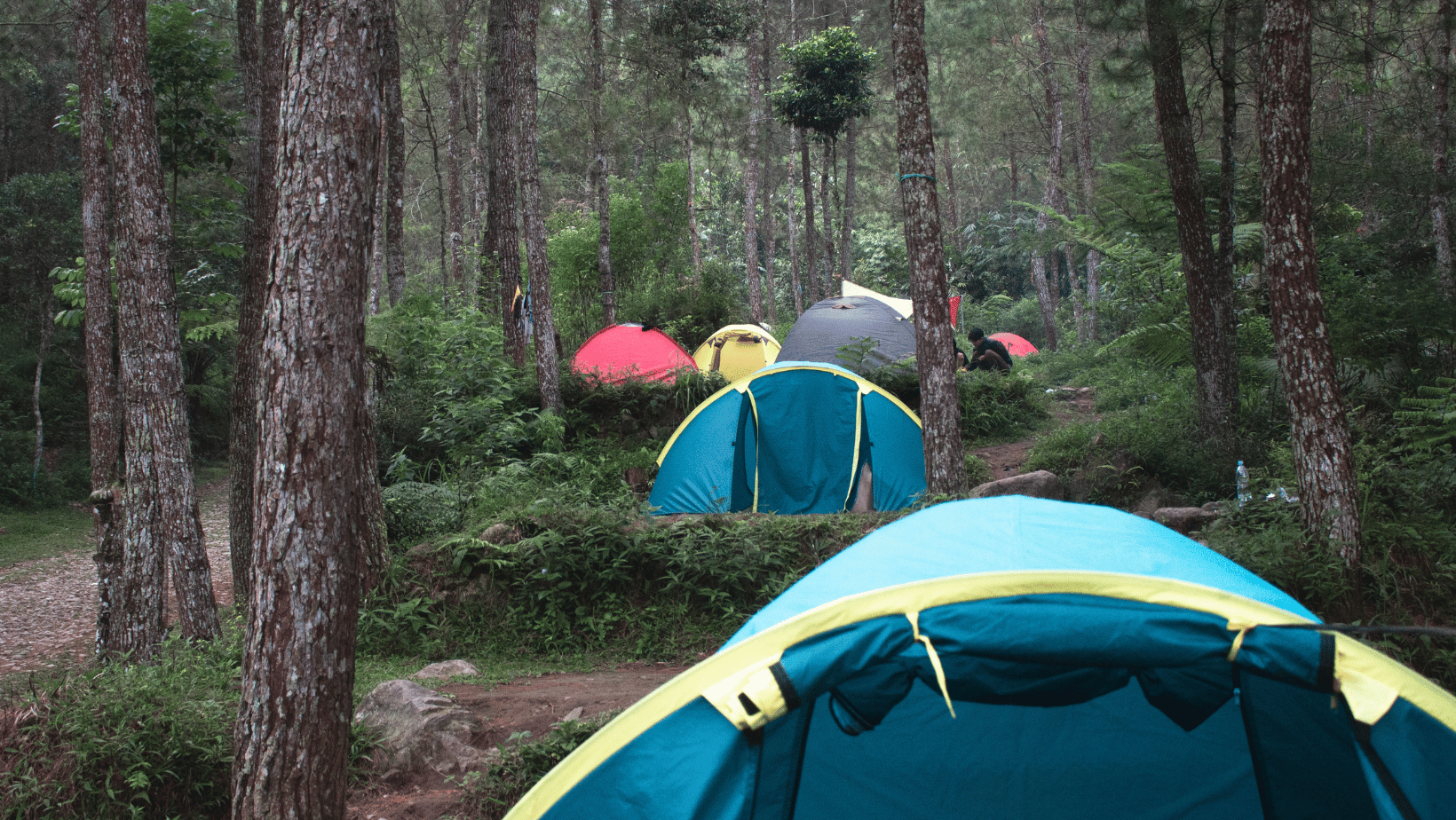 HI-TEC Składana mata do spania / karimata MATAY | WGL.pl